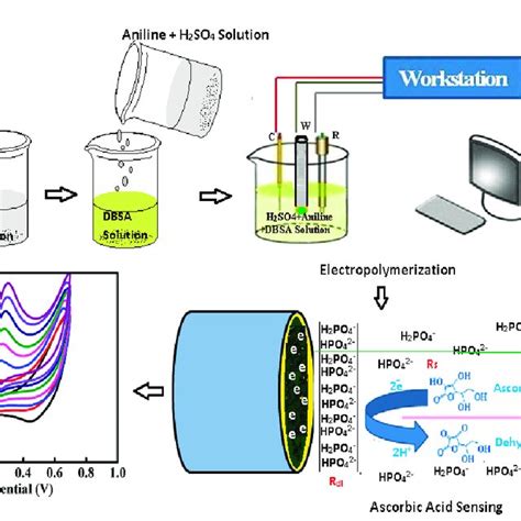 Pdf Highly Selective And Reproducible Electrochemical Sensing Of Ascorbic Acid Through A