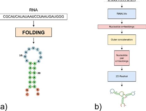 Figure 4 From Rinalmo General Purpose Rna Language Models Can Generalize Well On Structure