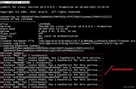Oracle故障案例 19c动态监听无法注册实例的处理oracle19c Listener Csdn博客