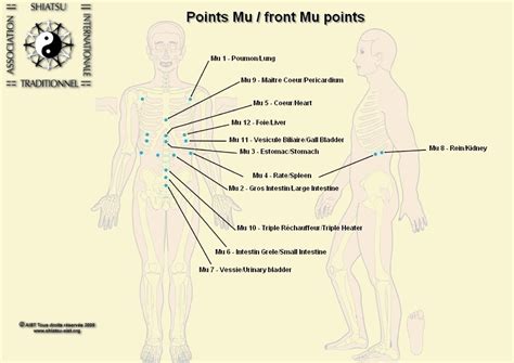Acupuncture Treatment Front Mu Alarm Points