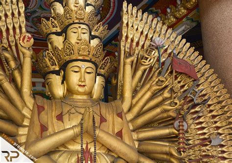 รีวิว ตำหนักพระแม่กวนอิมพันมือ โชคชัย4 เขตลาดพร้าว เปิดประสบการณ์ Review แบ่งปันประสบการณ์