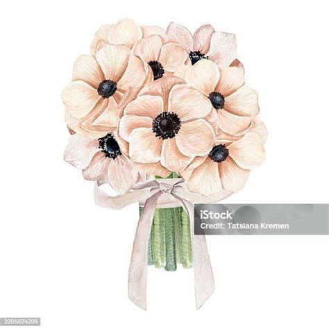 수채화 손으로 그린 꽃다발 복숭아빛 분홍색 아네모네의 다른 꽃이 만발한 꽃에 리본으로 묶여 있습니다 12월에 대한 스톡 벡터 아트 및 기타 이미지 Istock
