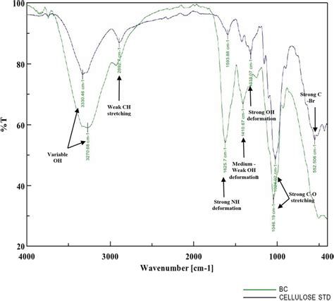Fourier Transform Infrared Spectroscopic Graph Of Bc Produced By A Download Scientific Diagram