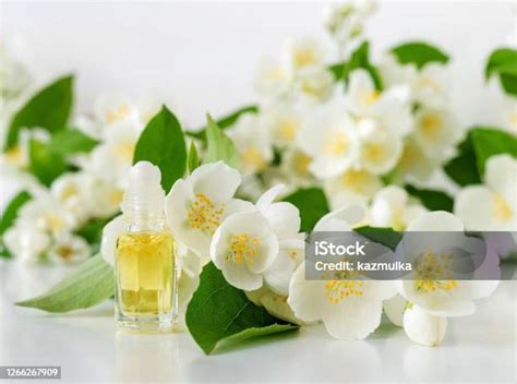 흰색 배경에 필수 재스민 오일 이있는 작은 롤온 병 재스민 꽃이 가까이 아로마테라피 스파 및 한방 의학 성분 공간을 복사합니다 0명에 대한 스톡 사진 및 기타 이미지