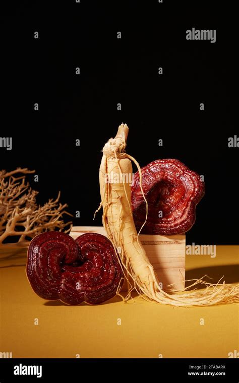 Rare Herbs Displayed On Black Background Fresh Ginseng Root And Lingzhi Mushrooms On Wooden