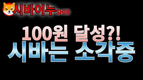 시바이누 코인 ※ 이유있는 소각 매커니즘 상승세 랠리 가보자고~ Youtube