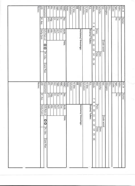 2 Patients Flow Sheet Nurse Brain Sheet New Grad Nurse Flow Sheet