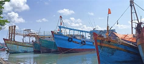 Tin T Ng H P Ng Y B O B R A V Ng T U I N T