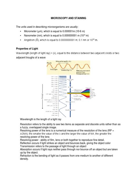 Microscopy And Staining Pdf Staining Angular Resolution
