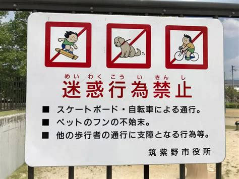 人类为什么热衷迷惑行为 界面新闻 JMedia