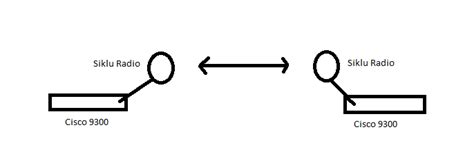 Symbol Error When Reaching The 10gbps Limit Of The Interface Cisco