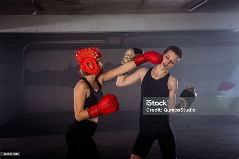 공격적인 차고 복싱 싸움에서 서로 펀치 두 전문 여성 권투 선수 20 24세에 대한 스톡 사진 및 기타 이미지 20 24세 25 29세 2명 Istock