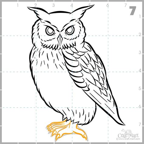 Owl Feet Drawing