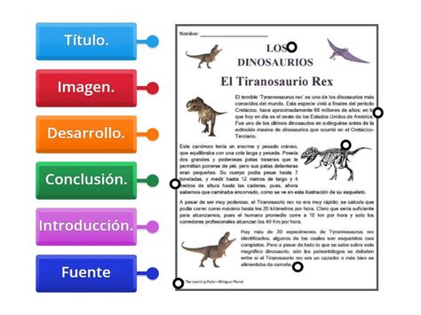 Texto Informativo Estructura Y Elementos Labelled Diagram