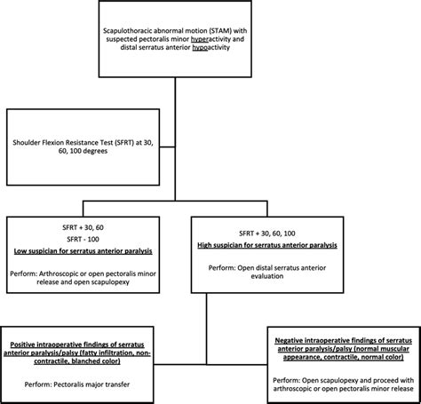 A Treatment Algorithm For The Management Of Stam Based On Physical Download Scientific Diagram