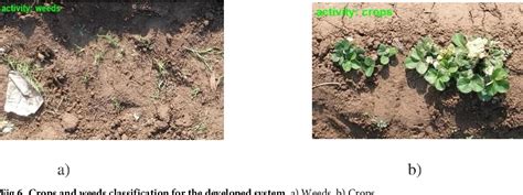 Figure 1 From A Novel Semi Supervised Framework For Uav Based Cropweed Classification