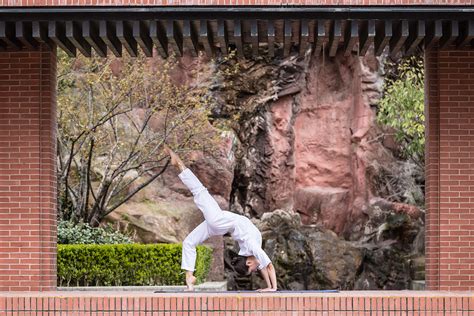 여성 요가 사진 무료 다운로드 Lovepik