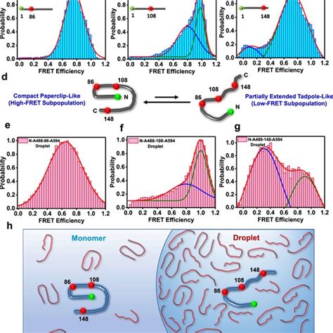 Experimental Design For Single Droplet Single Molecule Measurements The Download Scientific