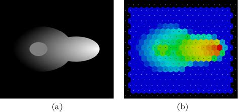 Signal Quantification Signal Quantification A Indexed Color Image Of