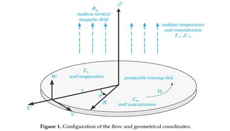 Analytical Modeling Of Mhd Flow Over A Permeable Rotating Disk In The Presence Of Soret And