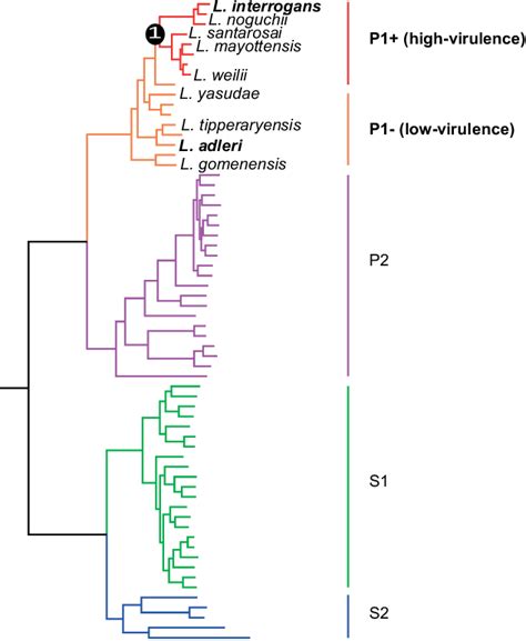 Figure 1 From Inter Species Transcriptomic Analysis Reveals A Constitutive Adaptation Against