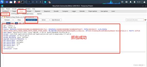 Burpe Suite学习 抓包burpsuite怎么抓包csdn Csdn博客 Burpe Suite学习 抓包burpsuite怎么抓包csdn Csdn博客