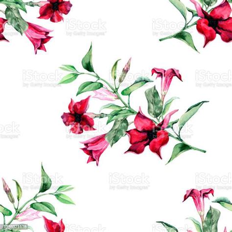 녹색 잎이있는 가지에 붉은 꽃과 새싹이있는 매끄러운 패턴 여름 열대 장식품 흰색 배경에 손으로 그린 수채화 그림 0명에 대한 스톡 벡터 아트 및 기타 이미지 Istock
