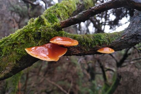 John Trehy Slr Consulting