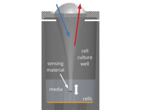 Dissolved Oxygen Monitor Extra Cellular Oxygen Flux