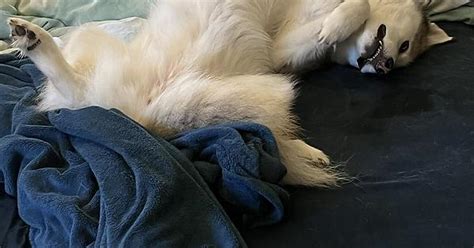 She Wouldnt Let Me Make The Bed Album On Imgur