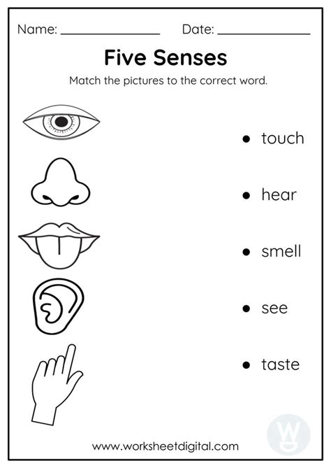 Fun First Grade Science First Grade Science Science Worksheets 1st Grade Worksheets