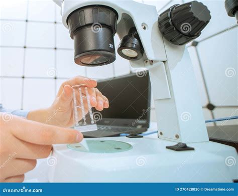 Miniature Device Lab On Chip Microfluidic Devices Chip In The Hands Of A Laboratory Assistant
