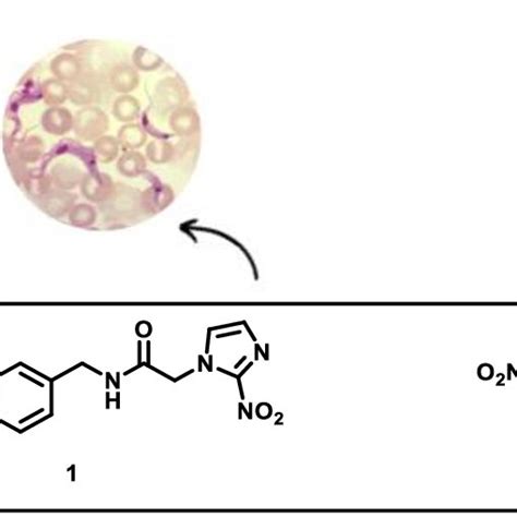 Transmitting Insect Protozoan And Available Drugs In Leishmaniasis Download Scientific Diagram