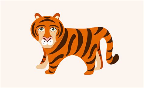 귀여운 만화 줄무늬 호랑이 행복한 중국 새해 2022 메리 크리스마스 어린이 용 티셔츠 인사말 카드 포스터 인쇄 벡터 일러스트레이션 2022년에 대한 스톡 벡터 아트 및