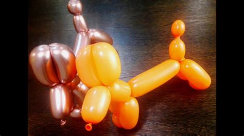 собачка из шарика Как сделать собачку из воздушного шара Собачка из ШДМ Youtube