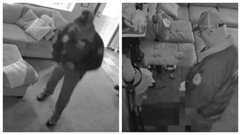 Owner Of A Pest Control Company Caught On Camera Peeing All Over
