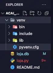 Código sem Caos O Guia Completo para Criar Ambientes Virtuais em Projetos Python Gustavo