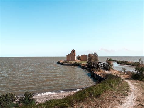 Visitare Le Valli Di Comacchio Cosa Vedere Tra Storia E Natura