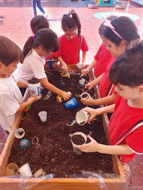 Exploradores De La Naturaleza Colegio Lincoln La Plata