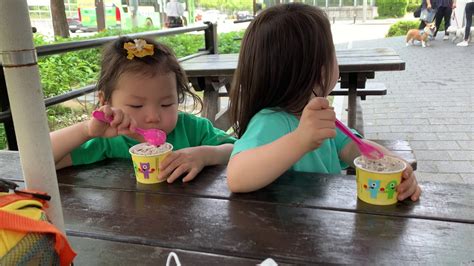 쌍둥이 VLOG YouTube