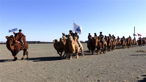 📢Түмэн тэмээний баяр ШИНЭ Өмнөговь Аялал жуулчлал Facebook