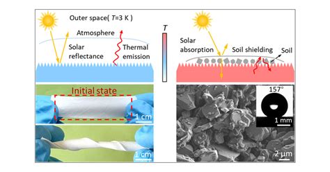 Efficient Passive Daytime Radiative Cooling By Hierarchically Designed Films Integrating Robust