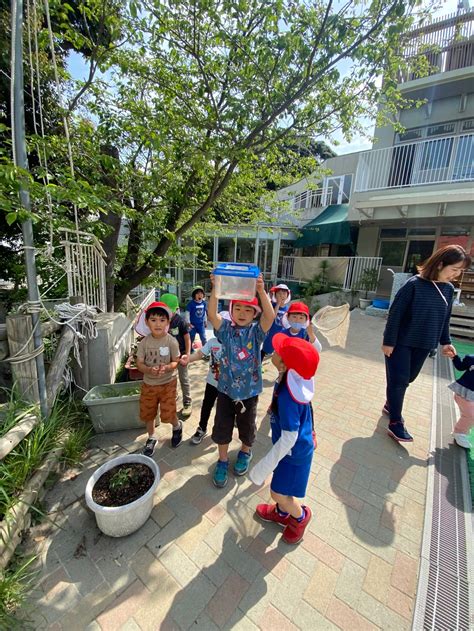 2024年度 入園願書配布始まります 西鎌倉幼稚園