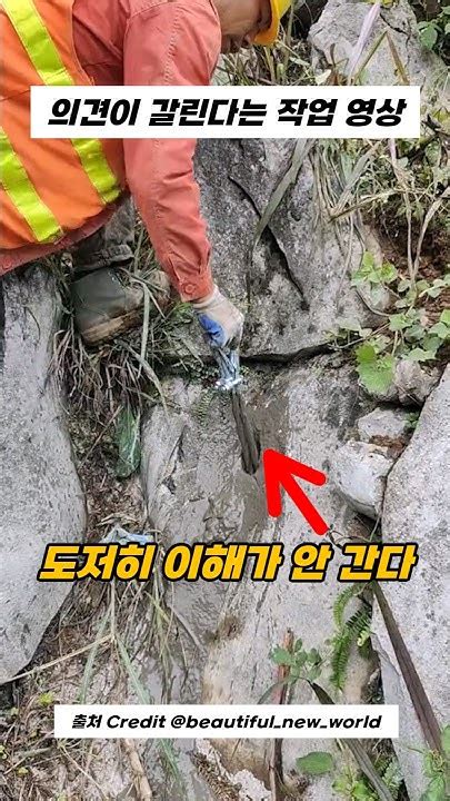 예 이게 도대체 뭐 하는 걸까 Youtube