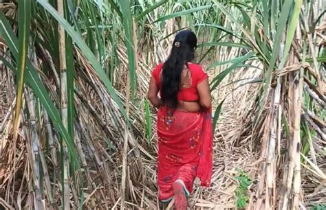 My Step Mom In Sugarcane Farming Feat Desi Sex Videos XHamster