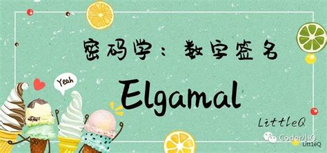 【密码学】一文读懂基于elgamal的数字签名 阿里云开发者社区