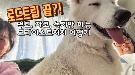 로드트립 끝 크라이스트처치에선 이제 쉬자 Youtube