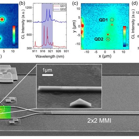 A 2d Cl Map During The Qd Selection Process Selected Qds Qd1 And Download Scientific