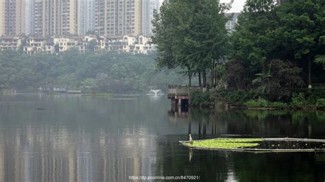 重庆彩云湖国家湿地公园摄影图片生态摄影 悦已者 太平洋电脑网摄影部落