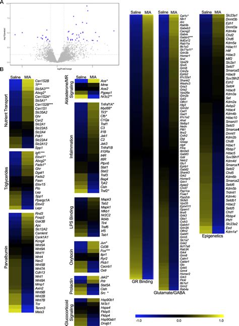 Transcriptomic Analyses Of Milk Samples Obtained On P10 From Rat